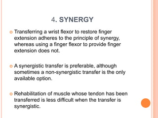 Indications and principles of tendon transfer | PPTX