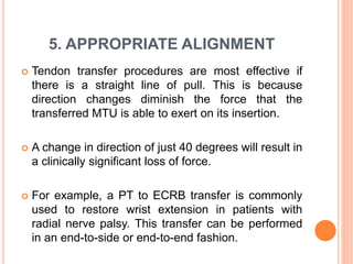 Indications and principles of tendon transfer | PPTX