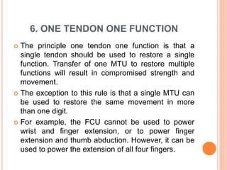 Indications and principles of tendon transfer | PPTX