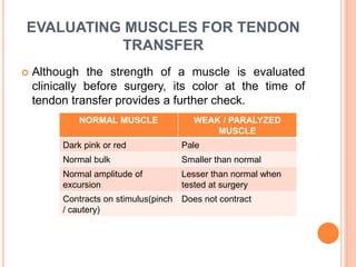 Indications and principles of tendon transfer | PPTX