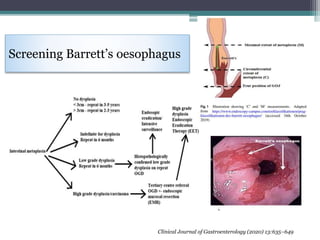 Indications of endoscopy by prof shahera.pptx