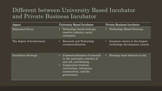 Indicator of Successful Incubator in Indonesia.pptx