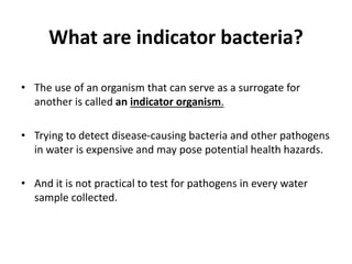 Indicator organisms and water quality | PPTX