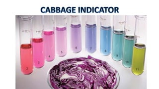 What is an Indicator? | PPTX