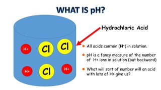 What is an Indicator? | PPTX