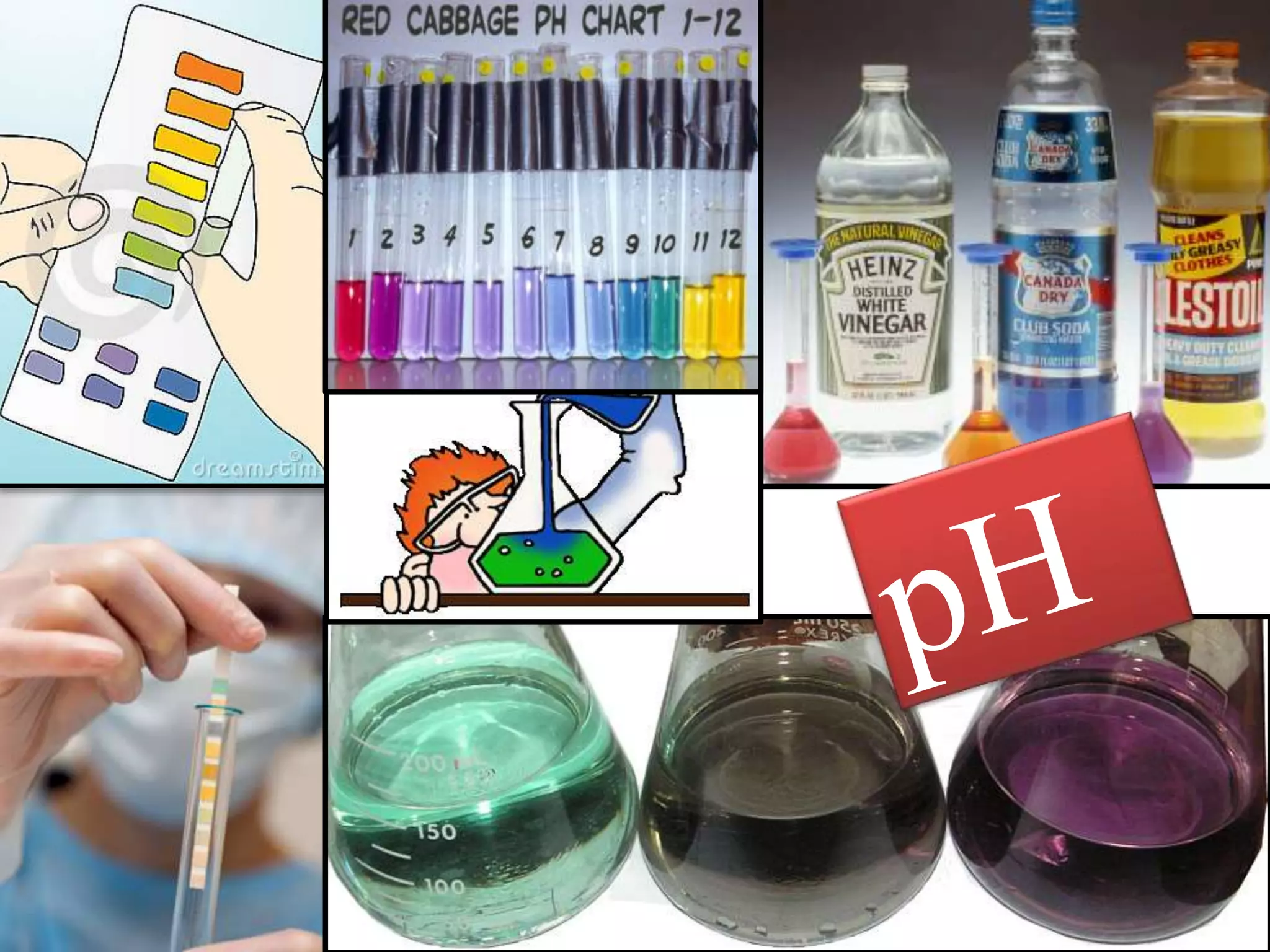 chemical Indicators | PPTX | Chemistry | Science