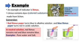 Indicators.pptx by Sarah Ashfaq 51 chemistry | PPT