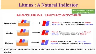 Acid bases salt types of indicators, propeeties | PPTX