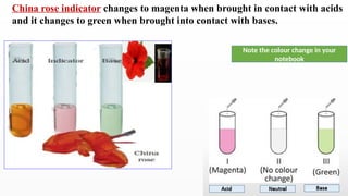 Acid bases salt types of indicators, propeeties | PPTX