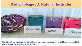 Acid bases salt types of indicators, propeeties | PPTX
