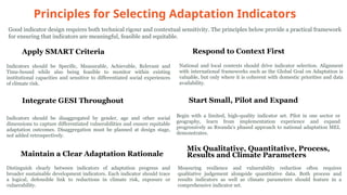 Designing Meaningful Adaptation Indicators | PPTX