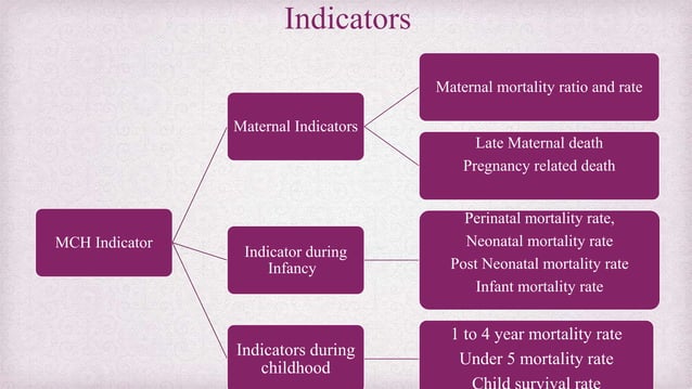 Indicators of mch care | PPTX