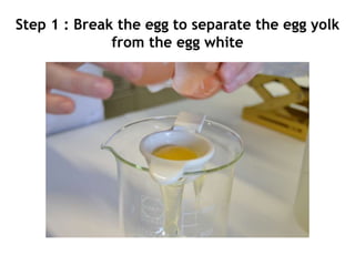 yolk index | PPTX