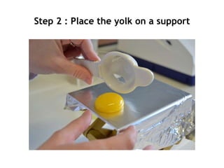 yolk index | PPTX