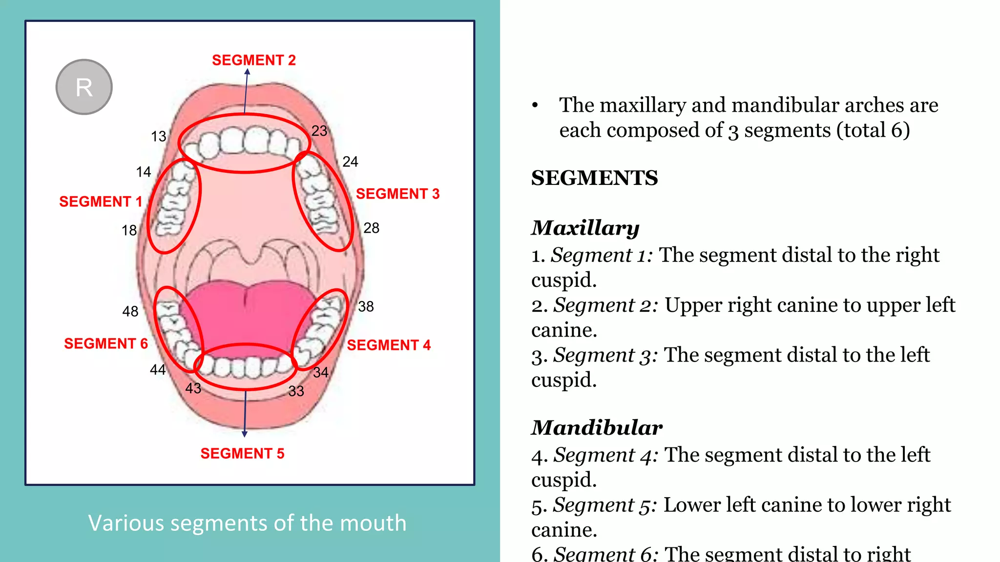 Oral Hygiene Index (OHI) and Oral Hygiene Index-Simplified (OHI-S) | PPTX