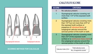 Oral Hygiene Index (OHI) and Oral Hygiene Index-Simplified (OHI-S ...
