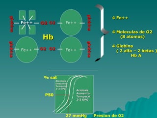 Indices hematimetricos | PPT