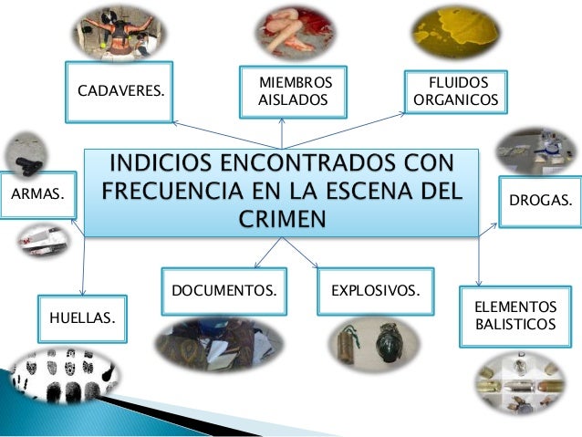 Indicios, evidencias y principios.