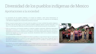 Pueblos Indígenas y Afromexicanos de México | PDF