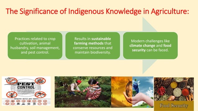 Term paper presentation of Indigenous knowledge | PPTX | Agriculture ...
