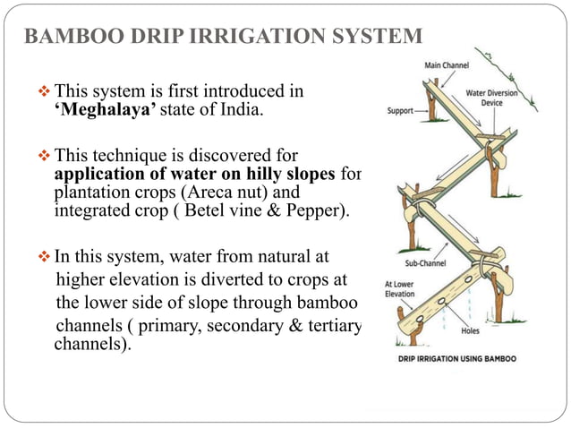 Indigenous soil & water conservation techniques | PPTX | Agriculture ...
