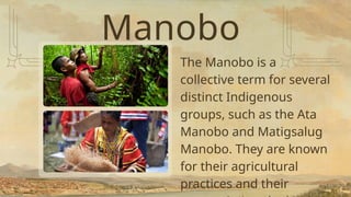 Indigenous-Peoples-in-mindanao.......... | PPTX