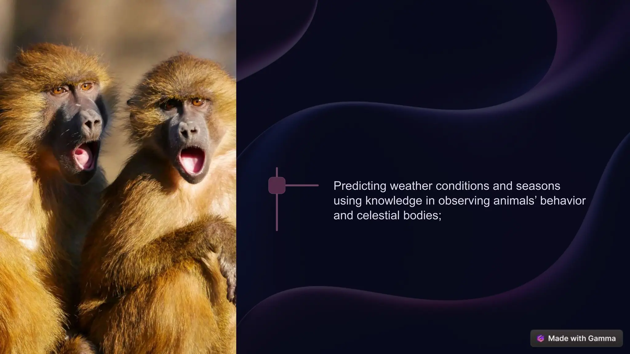 INDIGENOUS-SCIENCE-AND-TECHNOLOGY-IN-THE-PHILIPPINES.pptx