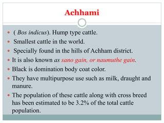 Indigenous breed of cattle in nepal | PPTX