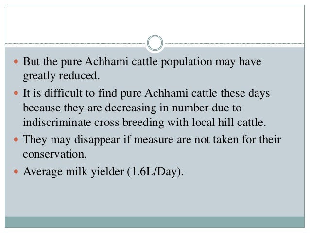 Indigenous breed of cattle in nepal