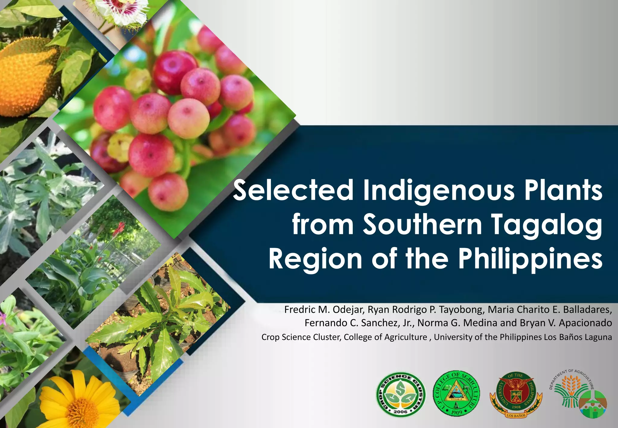 Selected Indigenous Plants from Southern Tagalog Region of the ...