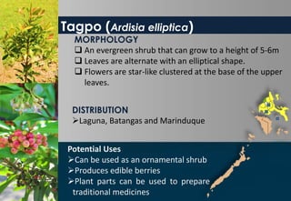 Selected Indigenous Plants from Southern Tagalog Region of the ...