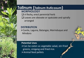 Selected Indigenous Plants from Southern Tagalog Region of the ...