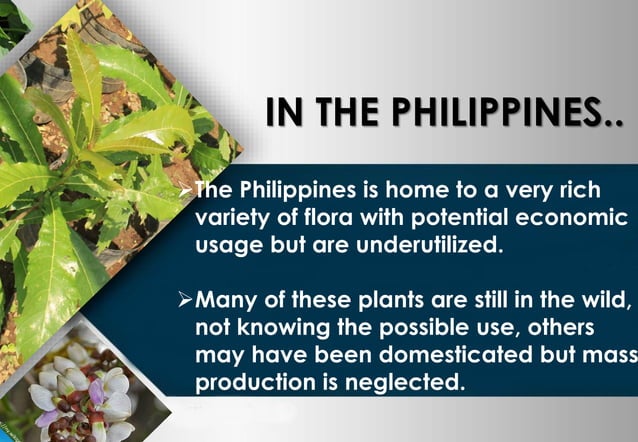 Selected Indigenous Plants from Southern Tagalog Region of the ...