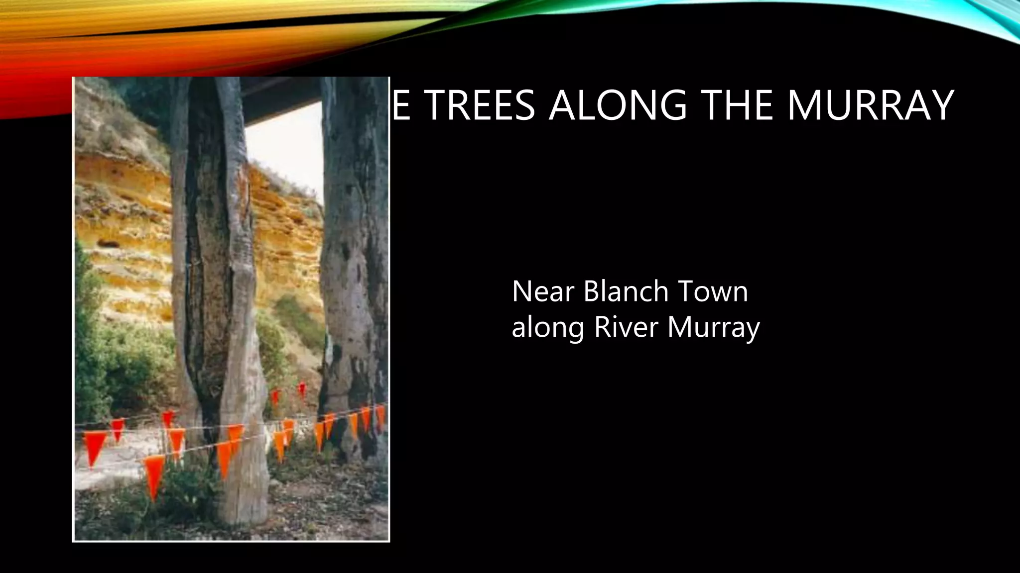 Indigenous culture murray river | PPTX | Canoeing and Kayaking ...
