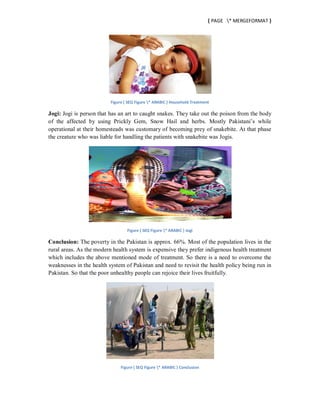 Indigenous health system in pakistan | PDF