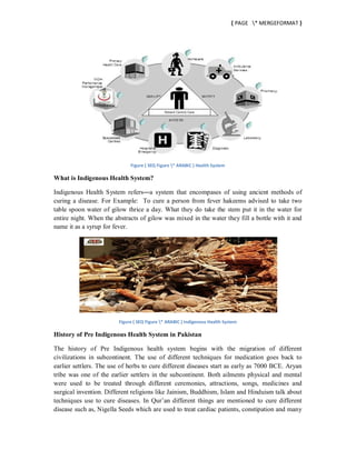 Indigenous health system in pakistan | PDF