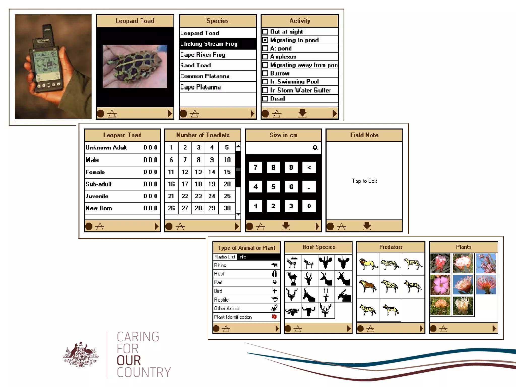 Indigenous Land Management - David Robertson | PPT