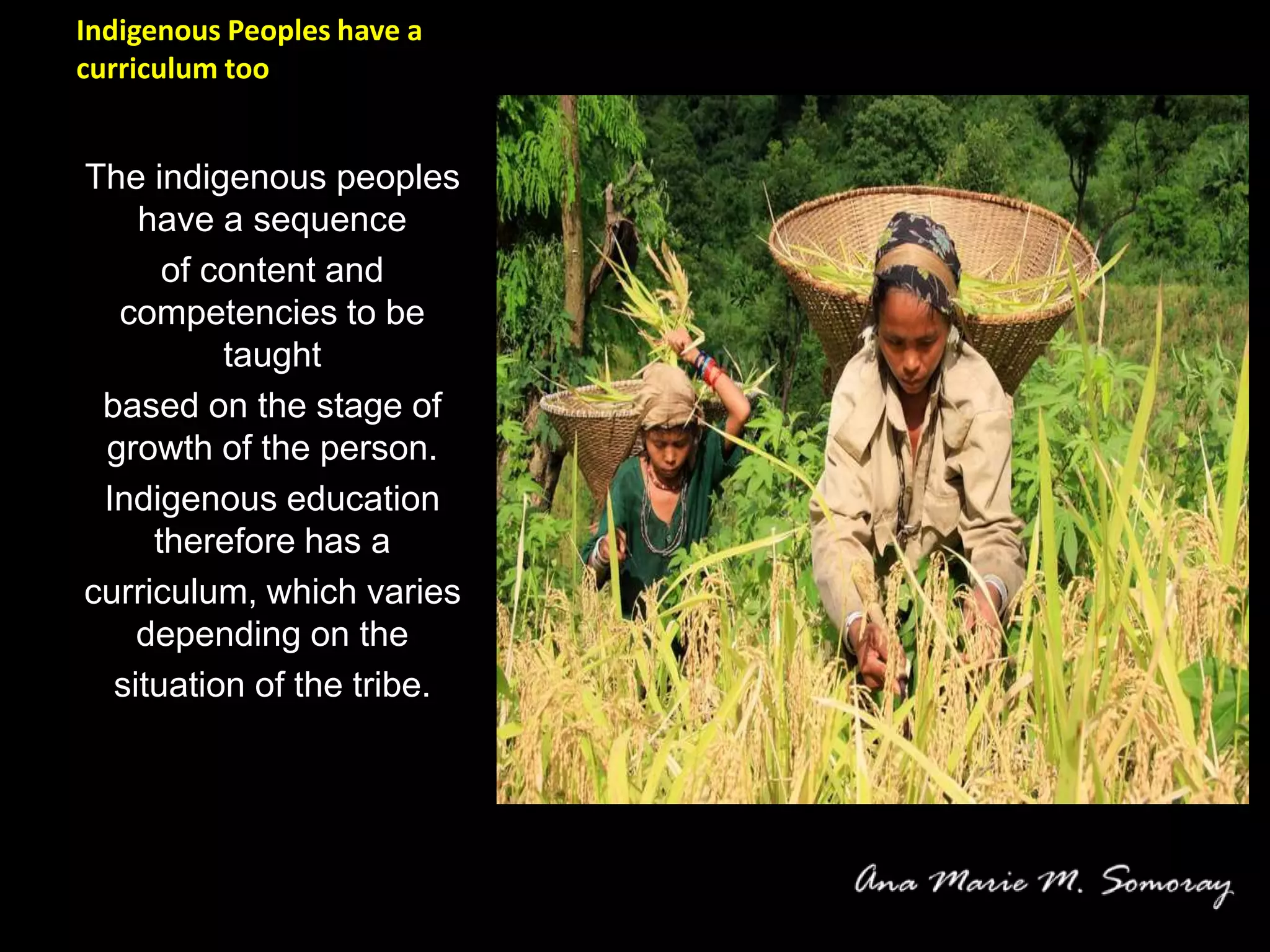 Indigenous people education | PPTX | Professional School | Postgraduate ...