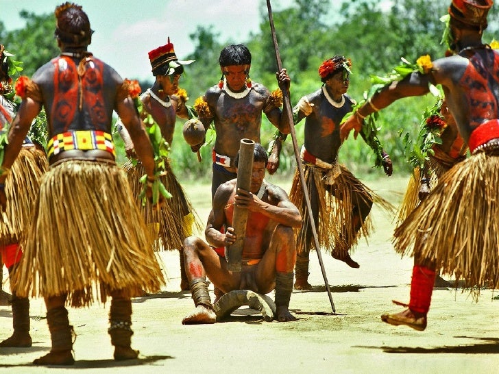 Indigenous Peoples In Brazil