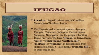 Indigenous peoples of luzon; bontoc, itneg, kalinga | PPTX