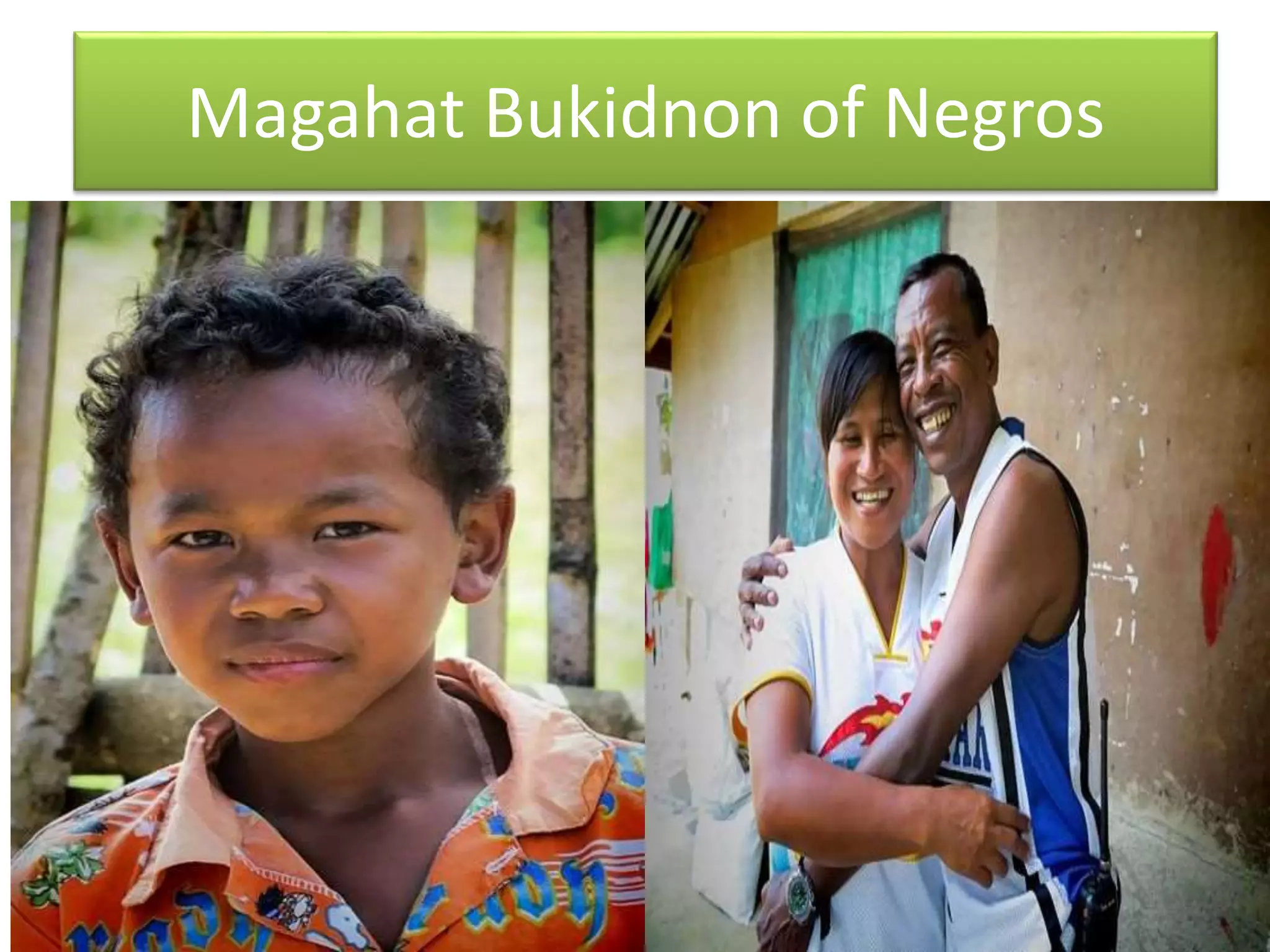 Indigenous Peoples of the Philippines | PPTX