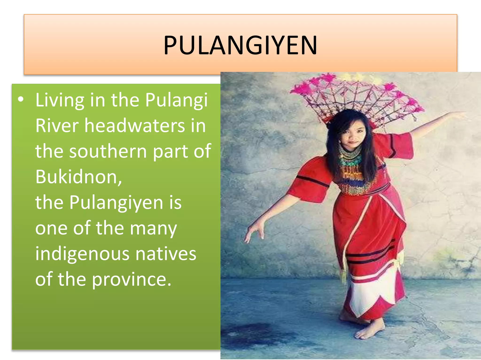 Indigenous Peoples of the Philippines | PPTX