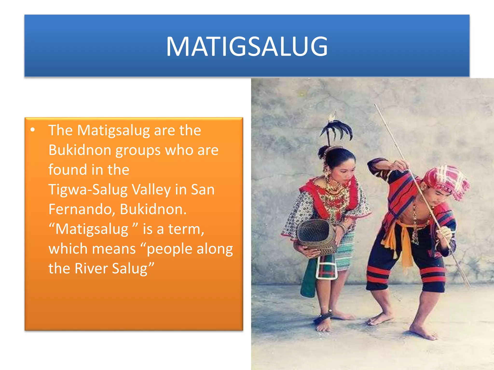 Indigenous Peoples of the Philippines | PPTX