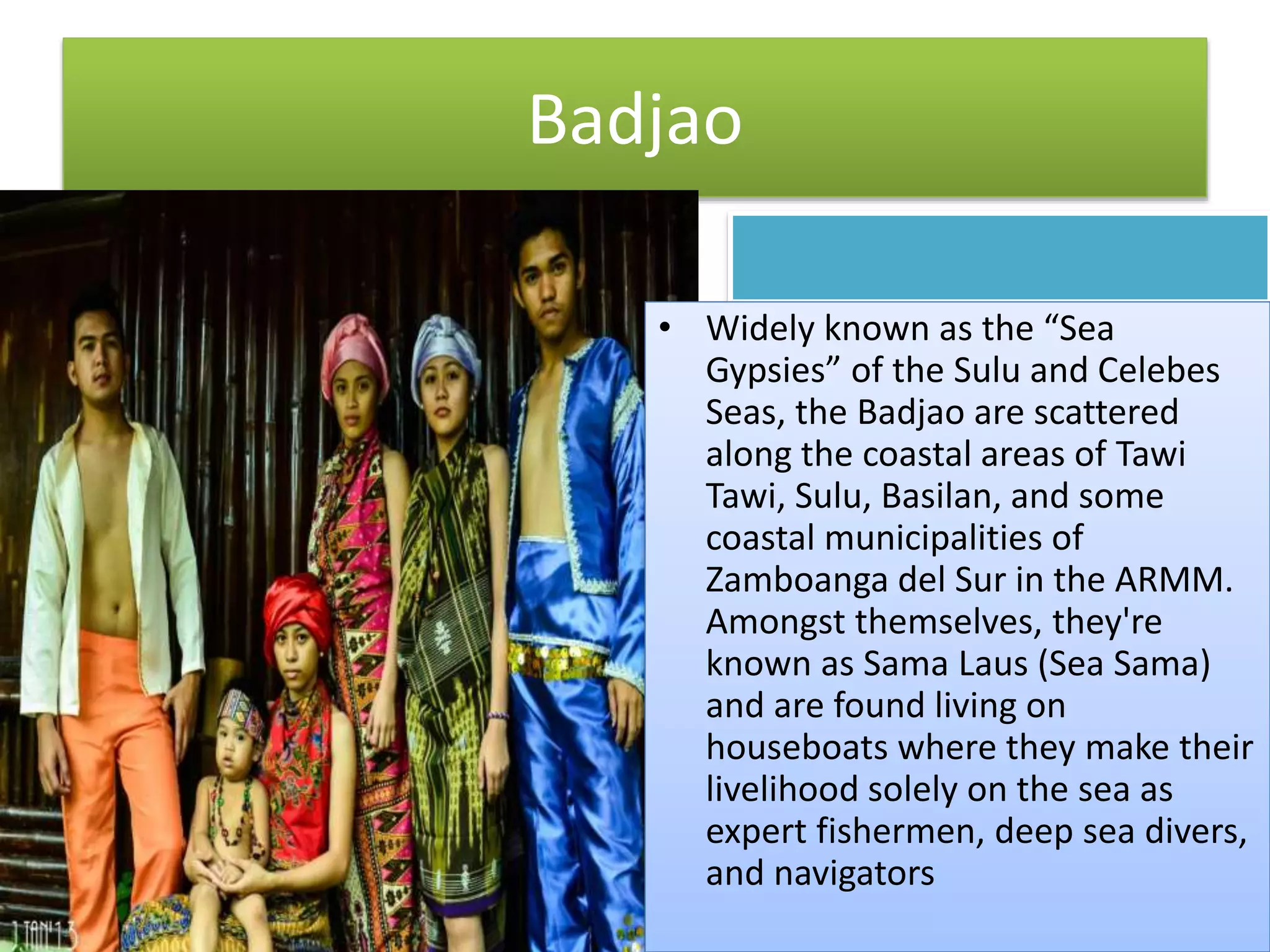 Indigenous Peoples of the Philippines | PPTX