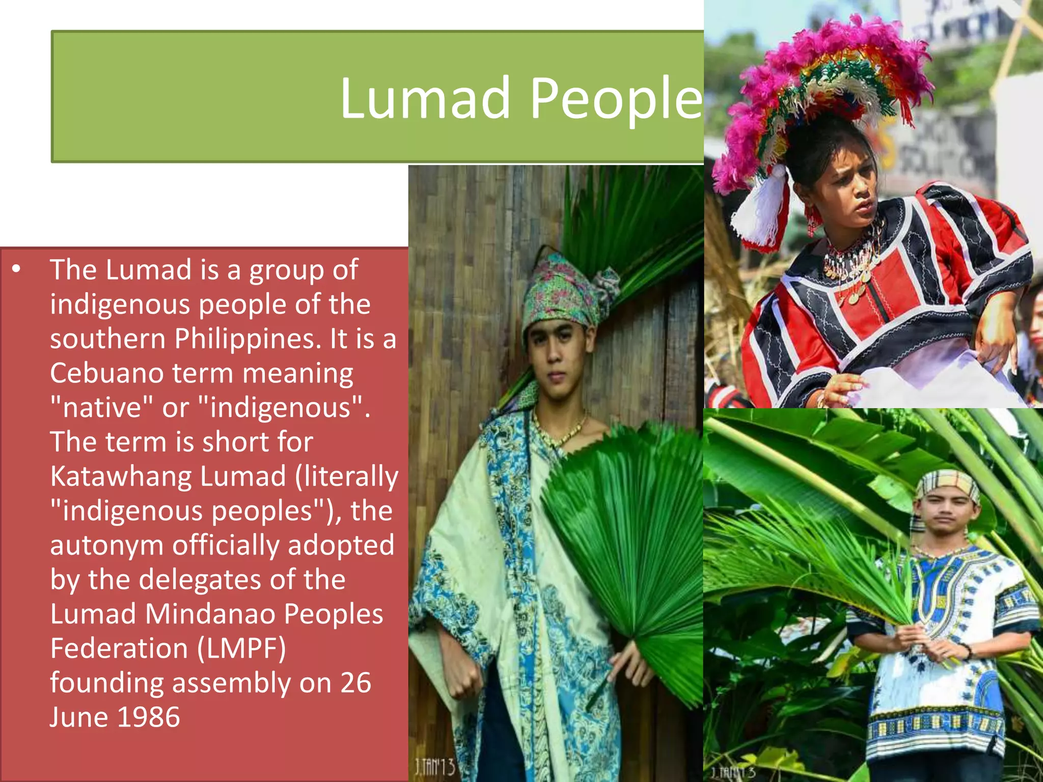 Indigenous Peoples of the Philippines | PPTX