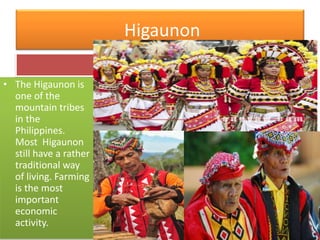 Indigenous Peoples of the Philippines | PPTX