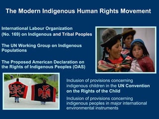 Indigenous Peoples Property Rights in the Inter-American Human Rights ...