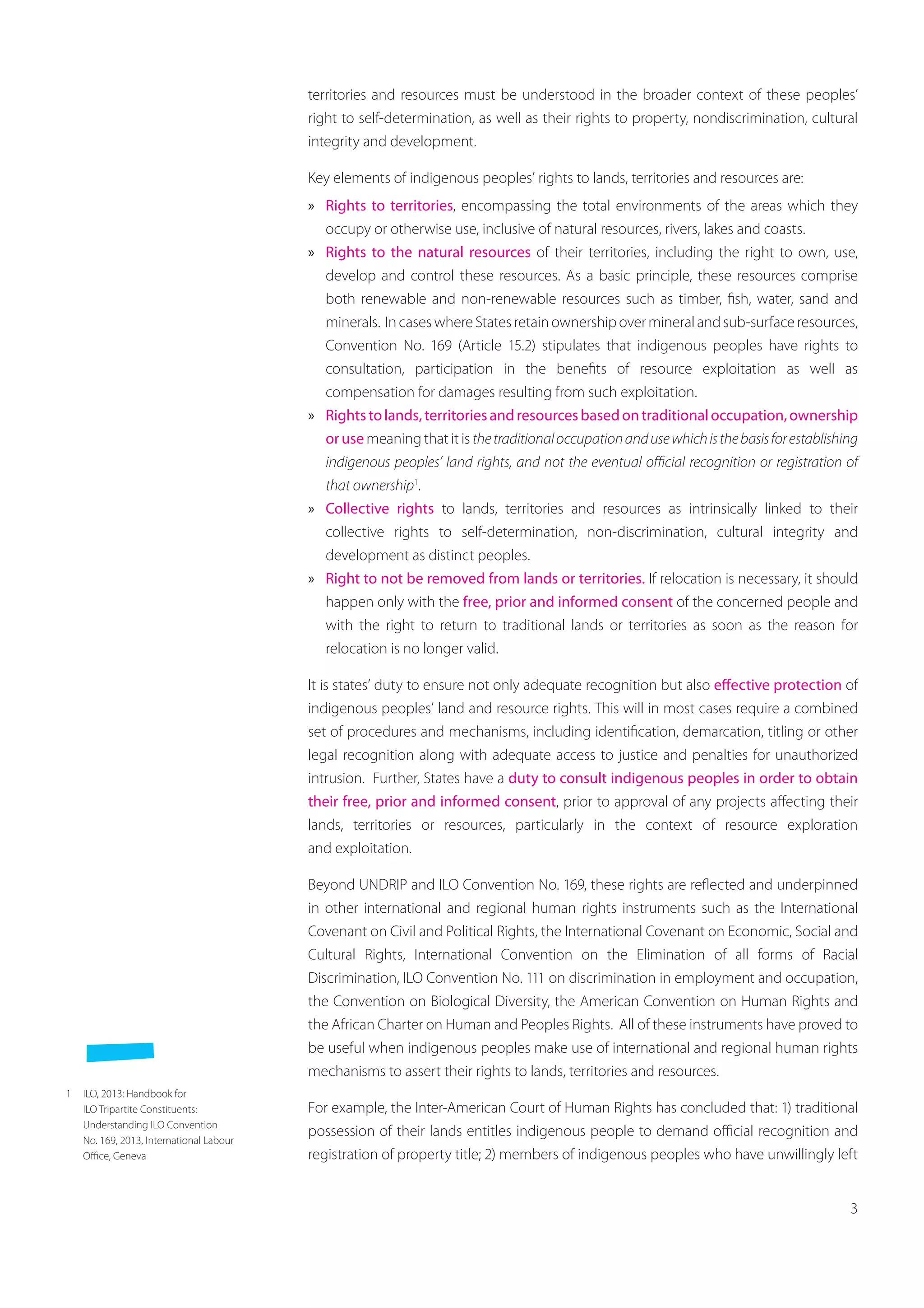 Synthesis Paper Indigenous peoples’ rights to lands, territories and ...