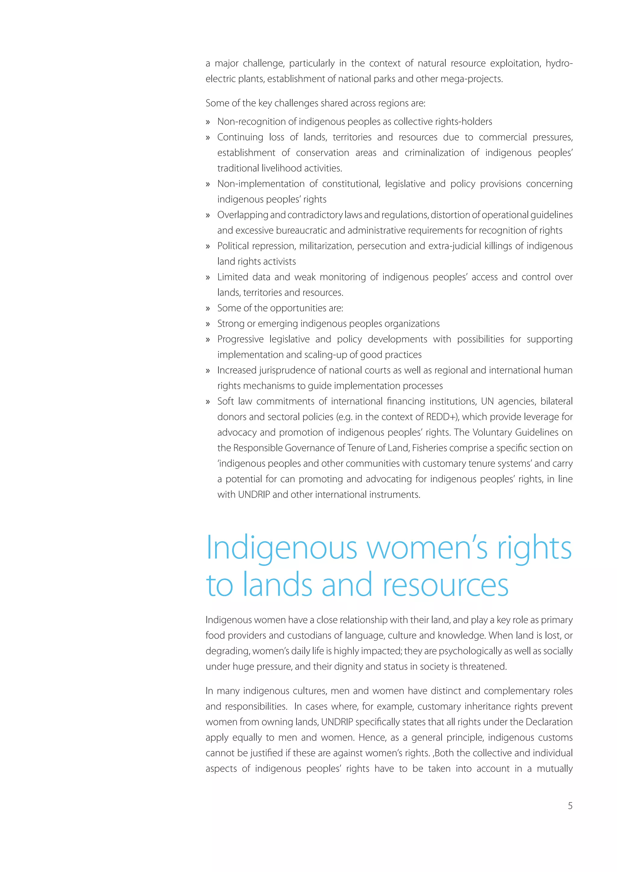Synthesis Paper Indigenous peoples’ rights to lands, territories and ...
