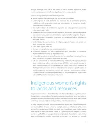 Synthesis Paper Indigenous peoples’ rights to lands, territories and ...